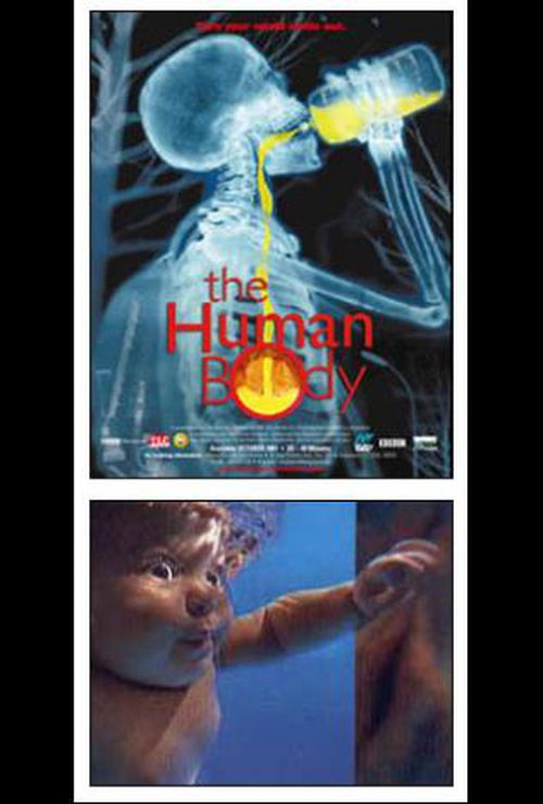 The Human Body | Esquire IMAX